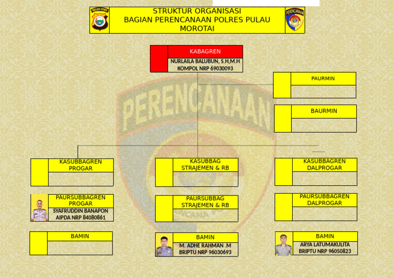 Struktur Organisasi Bagren | PDF