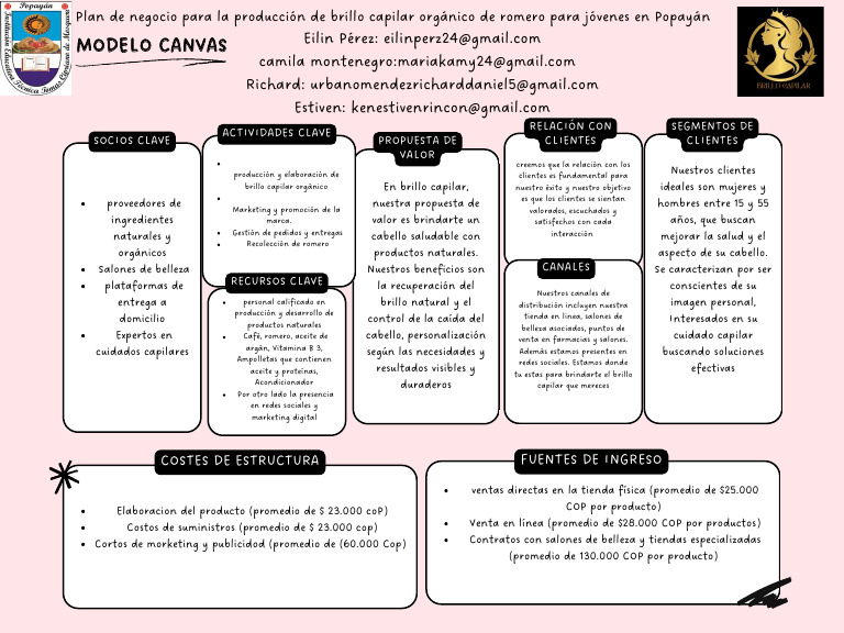 Brillo Capilar Canvas | PDF | Marketing | Negocios económicos