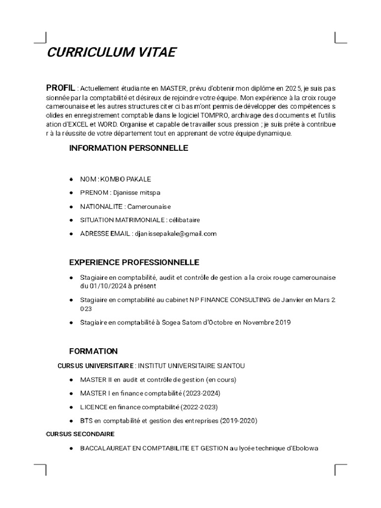 Curriculum Vitae Phoenix | PDF