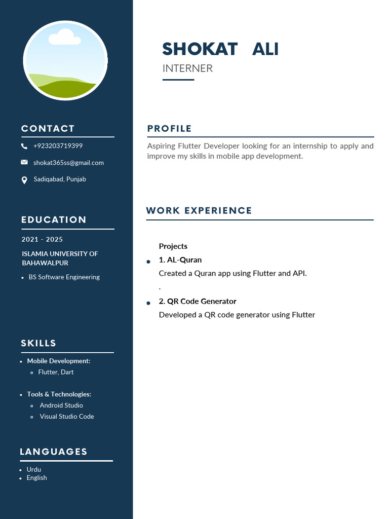 Aspiring Flutter Developer Resume | PDF