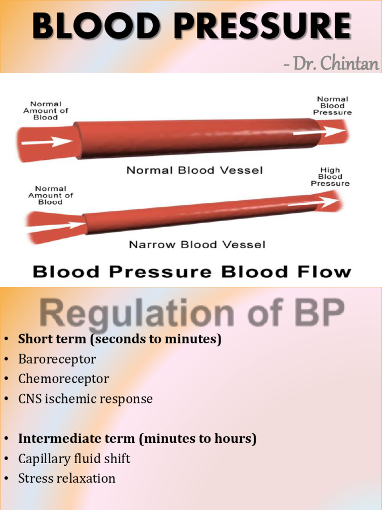 Blood Pressure Regulation | PDF | Blood Pressure | Ischemia