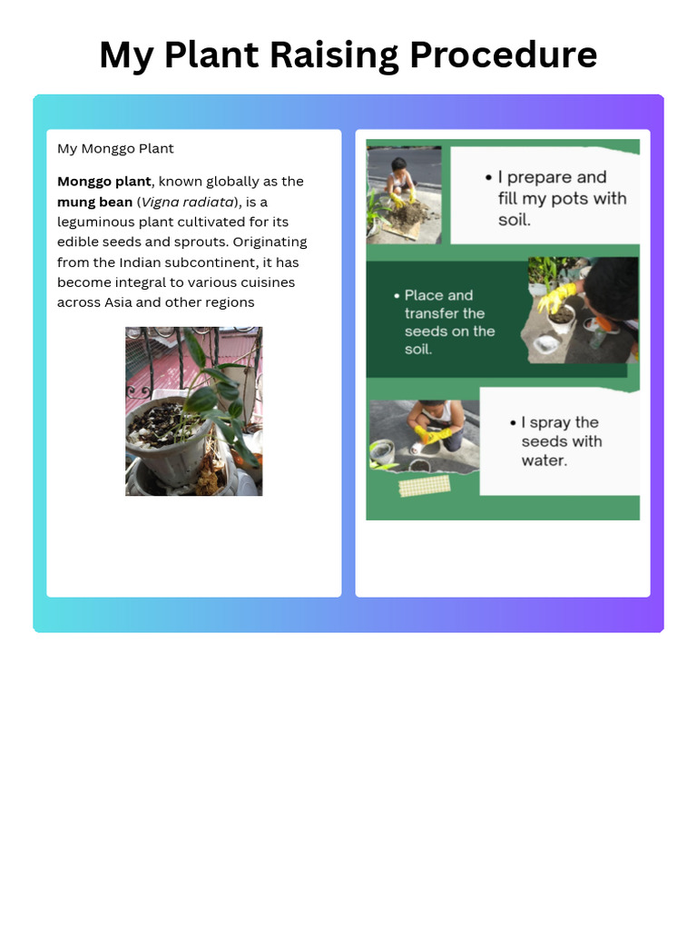 My Plant Raising Procedure | PDF