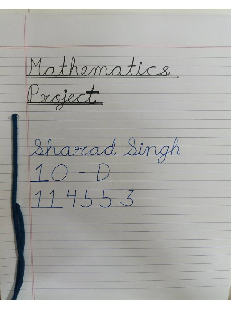 Mathematics Project | PDF