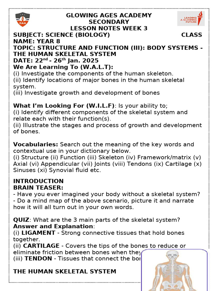 Human Skeletal System Lesson Plan | PDF | Bone | Skeleton