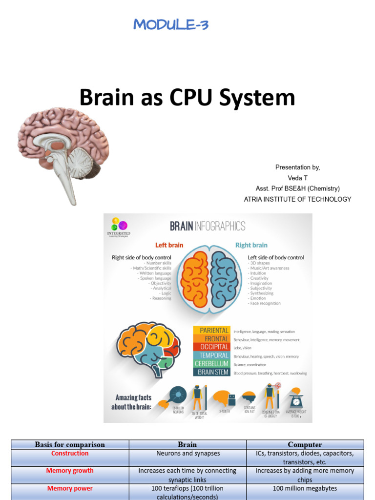 Brain vs. Computer: A Comparative Analysis | PDF | Respiratory Diseases ...