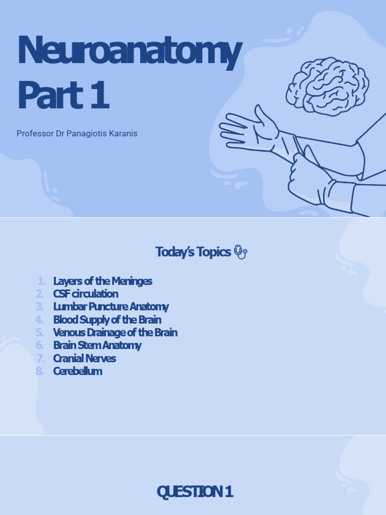 Neuroanatomy Revision 1 | PDF | Brainstem | Cerebrospinal Fluid