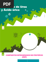 AZOADOS | PDF | Ciencia y matemáticas