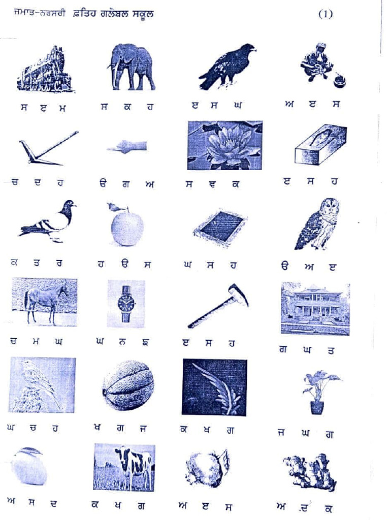 Class Nursery Assignment | PDF