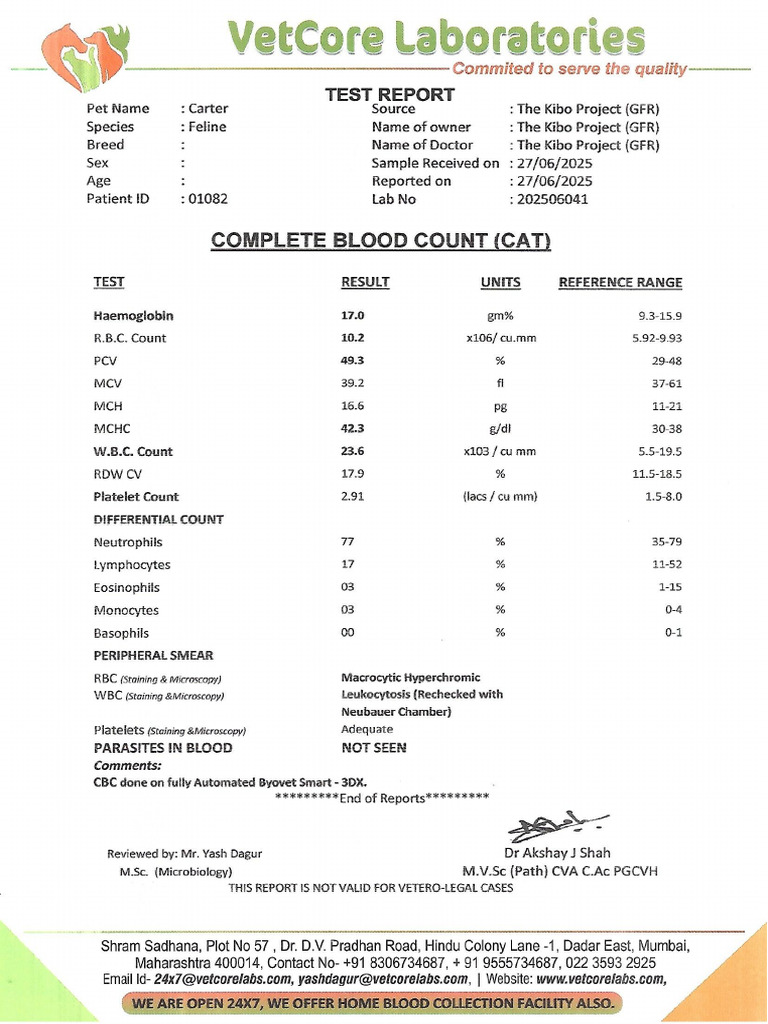 Carter Cat Reports 27-06-2025 | PDF
