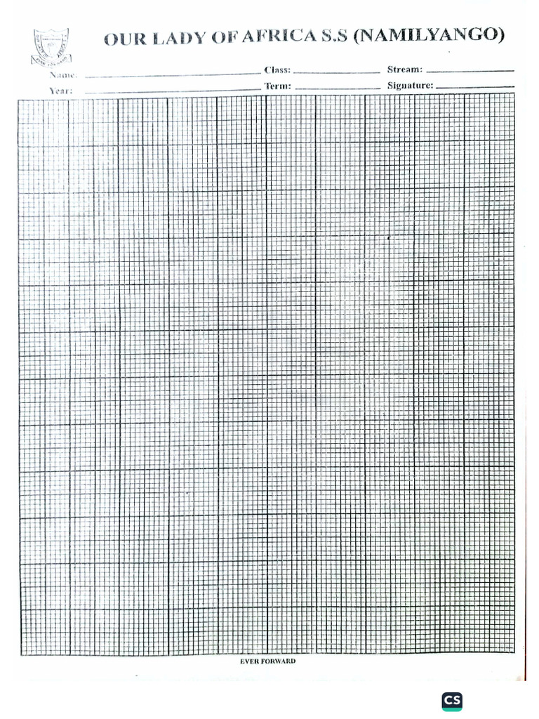 Graph Paper | PDF