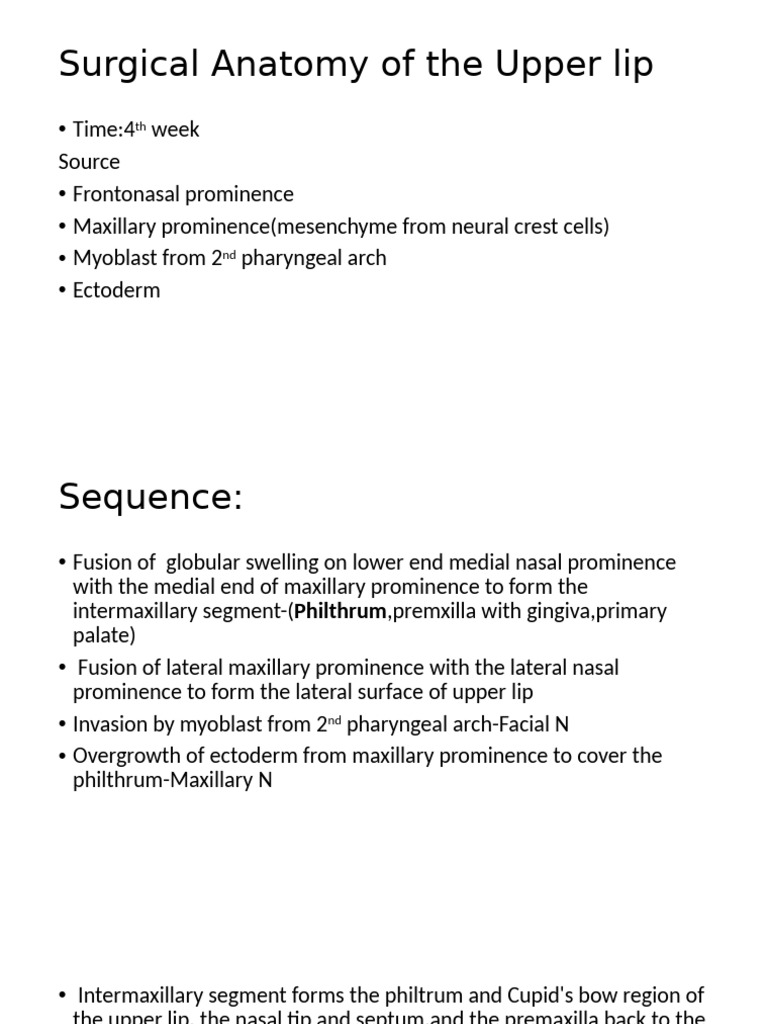 Surgical Anatomy of The Upper Lip | PDF
