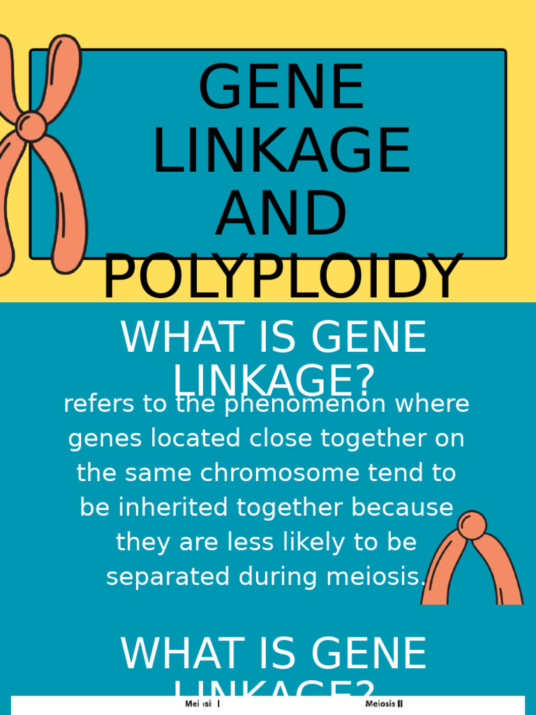 Types of Genetic Inheritance Science Presentation in Blue Yellow Flat ...