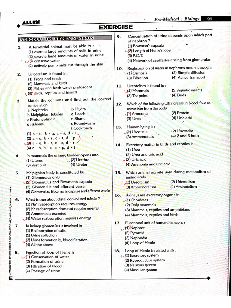 PRACTICE | PDF