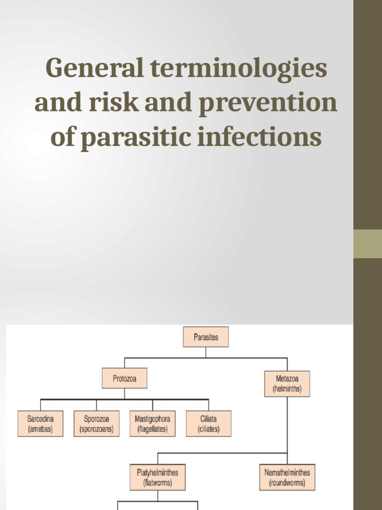 Parasitology, Lecture 1 | PDF | Parasitism | Nematode