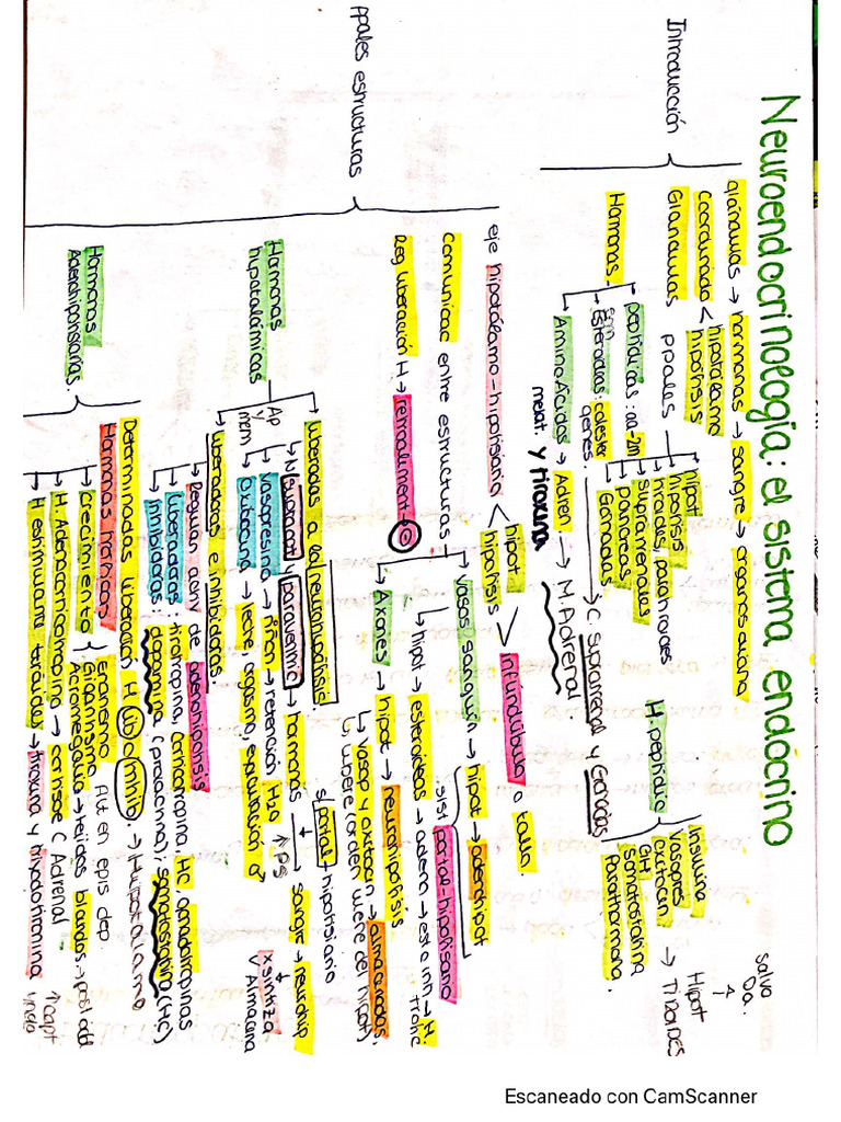 Ejemplo Esquema Bio | PDF