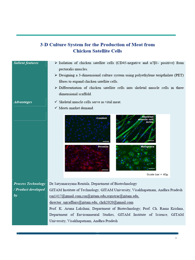 23-D Culture System For The Production of Meat From Chicken Satellite ...