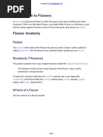 Flower | PDF | Plant Reproduction | Flowers