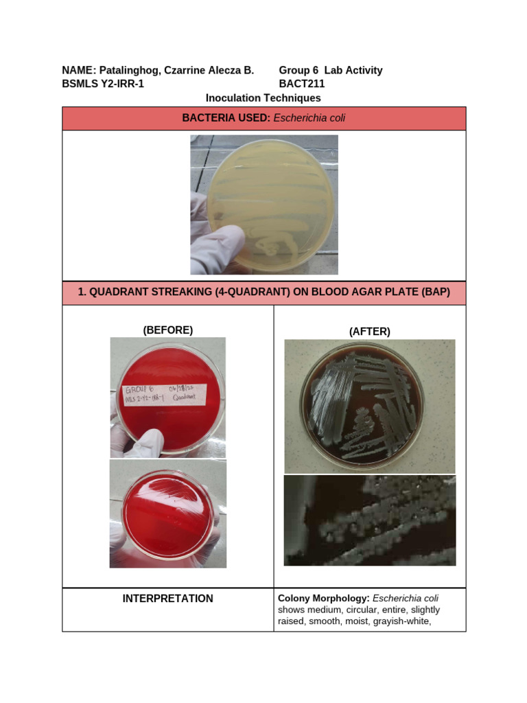 Bact211 Inoculation Techniques g6 | PDF | Bacteria | Biology