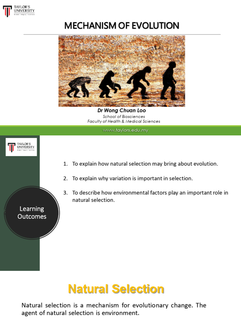 8 - Mechanisms of Evolution - PDF | PDF | Natural Selection | Genetic ...