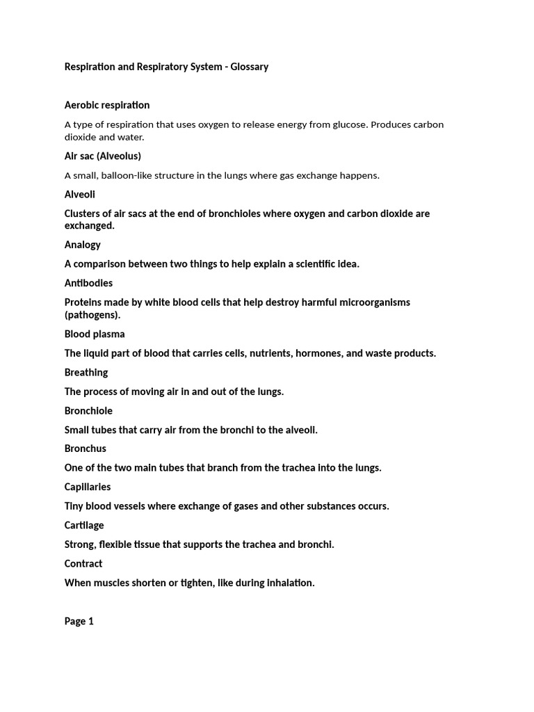 Respiration and Respiratory System | PDF | Respiratory System ...