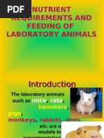 Dietary Guidelines for Captive Lemurs | PDF | Diet & Nutrition ...