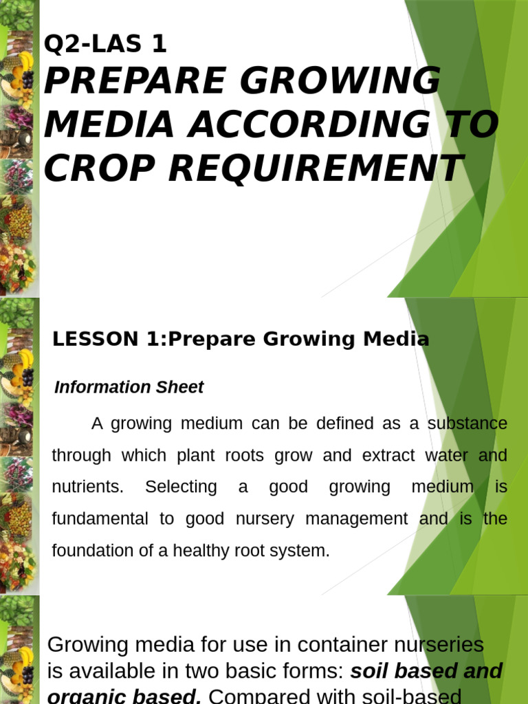 Preparing Growing Media for Nurseries | PDF | Compost | Moss