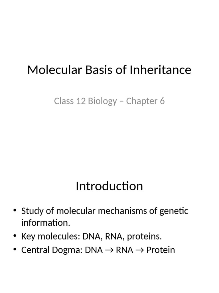 Molecular Genetics and Inheritance Overview | PDF | Dna | Rna