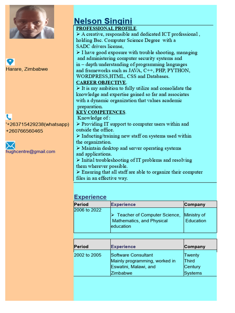 Nelson S Curriculum Vitae | PDF | Computing | Information Technology