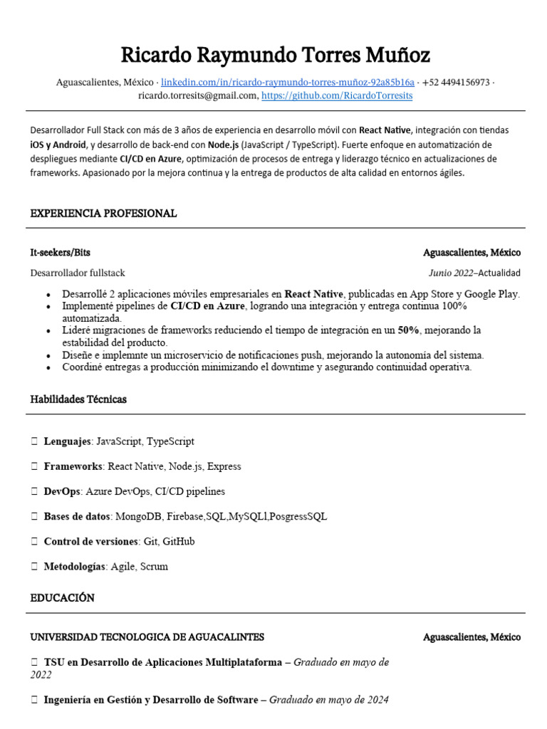 CV Ricardo Raymundo Torres Muñoz | PDF