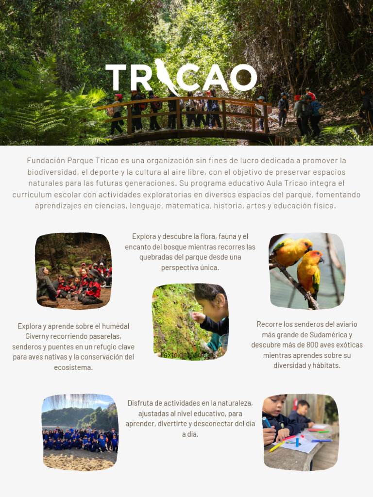 Aula Infografia 2025 | PDF | Aprendizaje