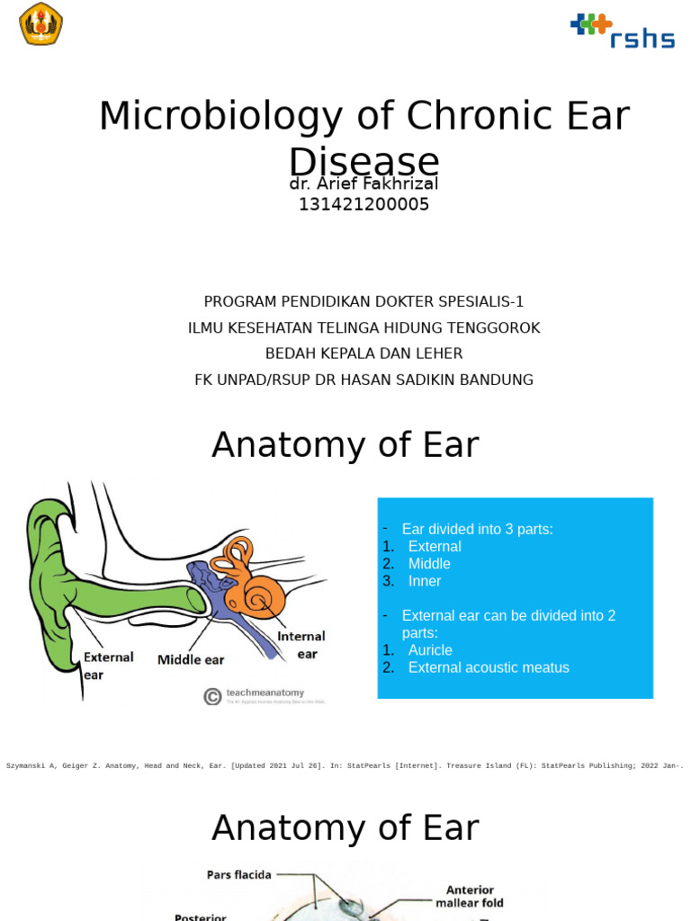 Microbiology of Chronic Ear | PDF | Ear | Human Head And Neck