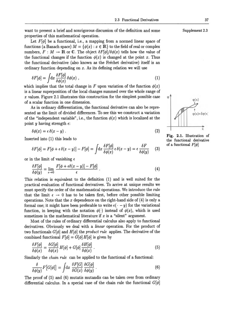 Reference On Functionals GreinerQFT | PDF | Derivative | Momentum