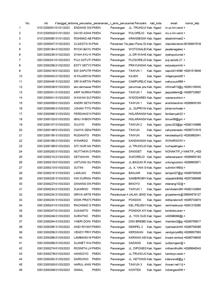 Nib Terbit 2023 | PDF