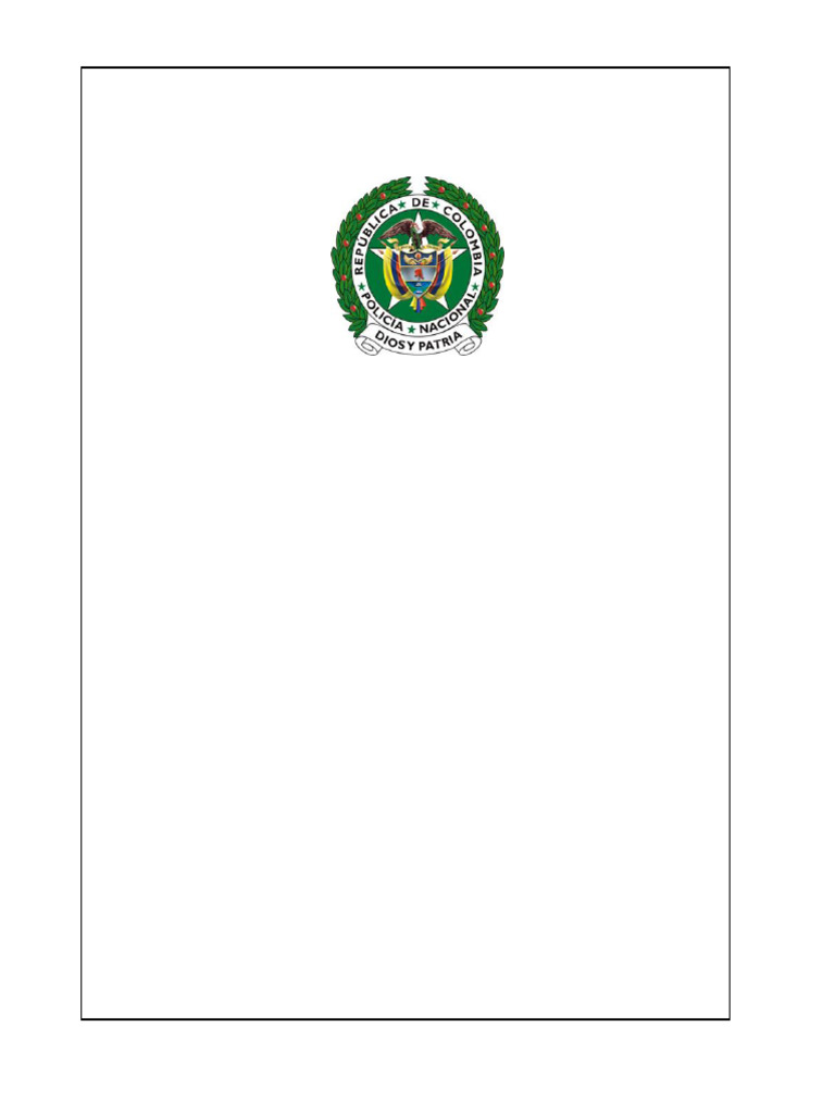 Bordados Parche Uniforme Policía Nacional | PDF | Textiles | Muestreo ...