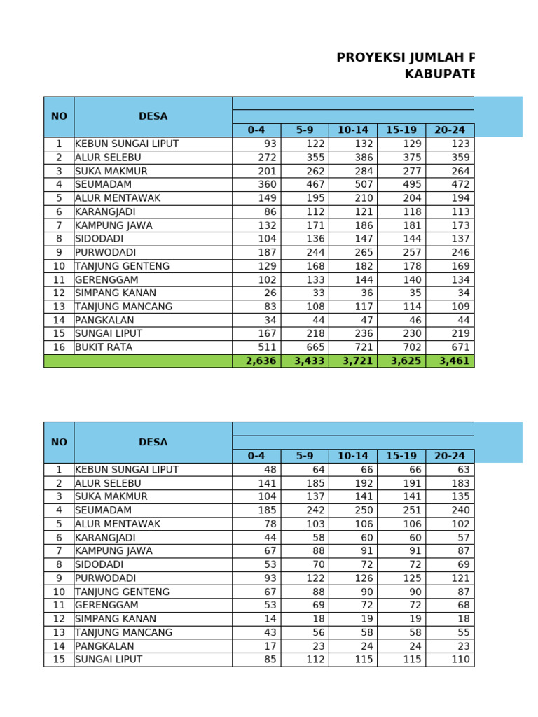 Sasaran Program Kejuruan Muda 2025 | PDF