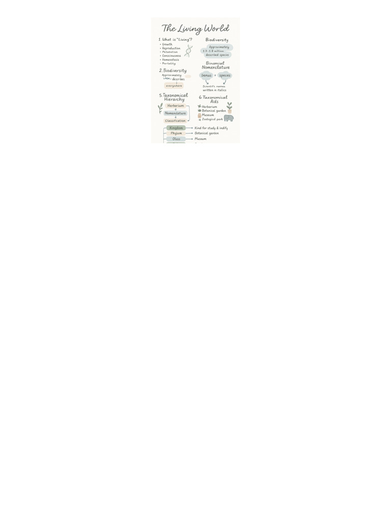 Living World Notes Styled Printable | PDF