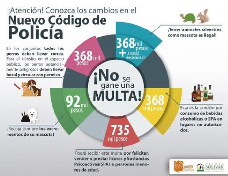 Multas Codigo de Policia | PDF