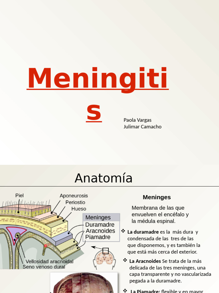 Meningitis: Tipos, Síntomas y Tratamiento | PDF | Meningitis | Medicina ...