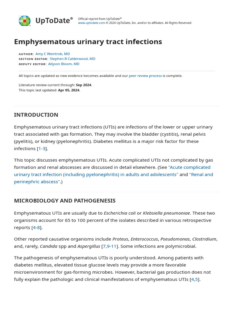 Emphysematous Urinary Tract Infections - UpToDate | PDF | Urinary Tract ...