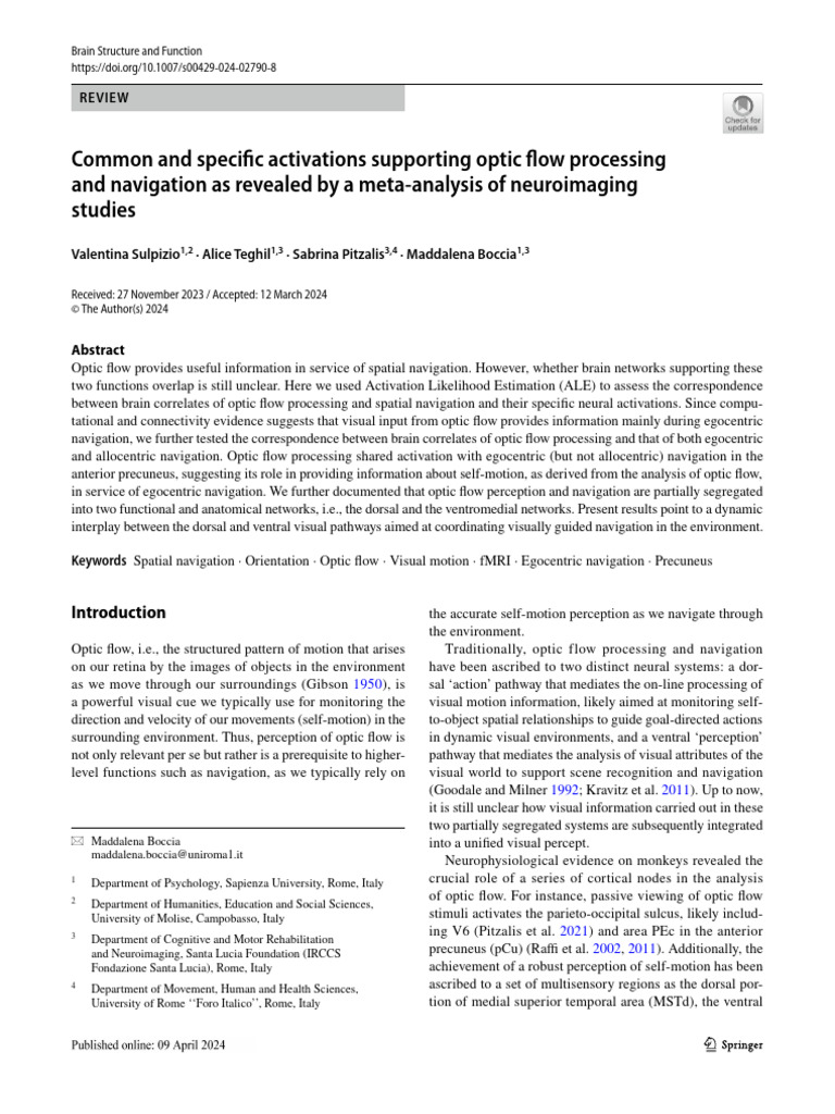 2024-Sulpizio - Meta-Analysis | PDF | Meta Analysis | Cingulate Cortex