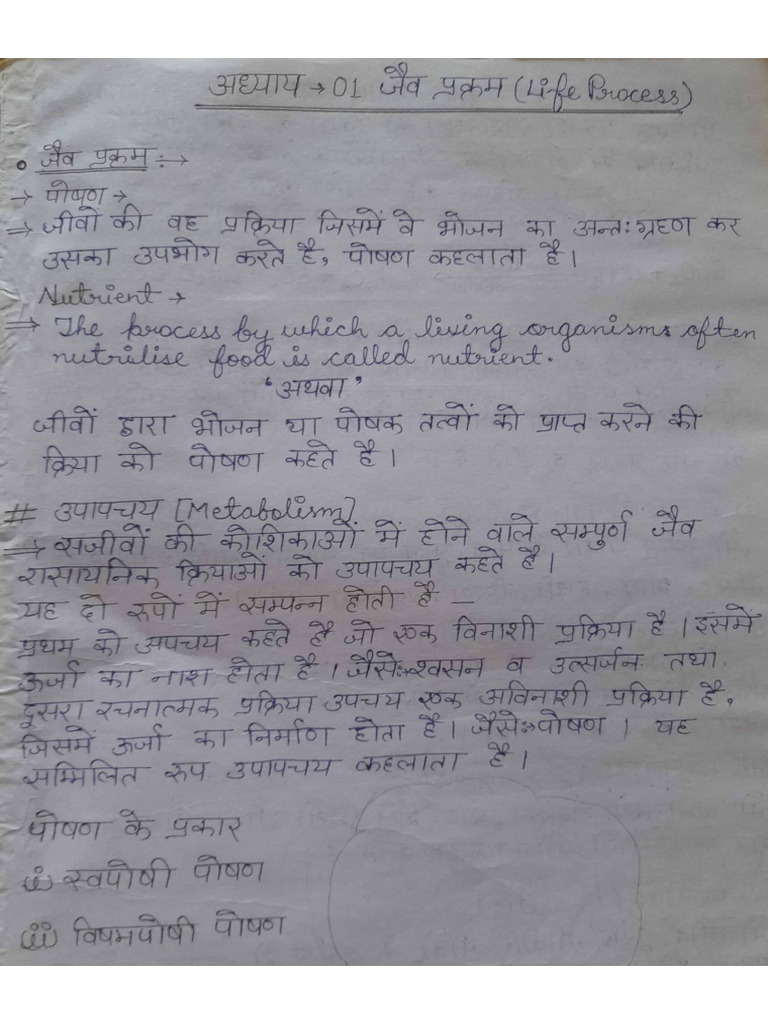 Class 10 Bio - Life Process (Written Notes Teach by S.N Prajapati) | PDF