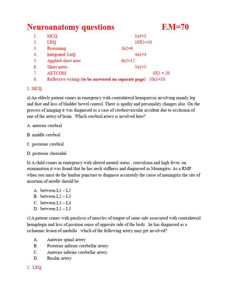 Neuroanatomy Questionsf-1 | PDF | Nervous System | Diseases And Disorders