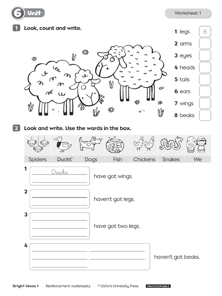 Unit 6 Animals - Extra | PDF