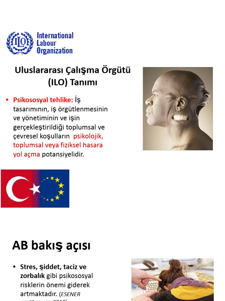 59-ILO Pps | PDF