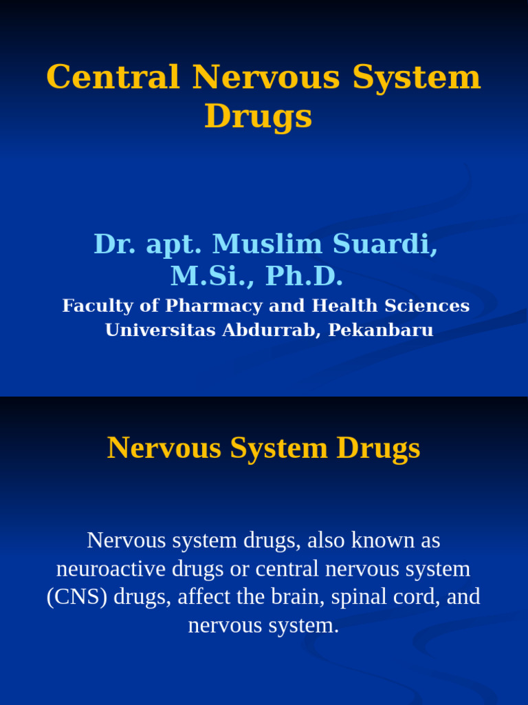2025 Fisio 14 Nervous System Drugs | PDF | Anesthesia | Analgesic