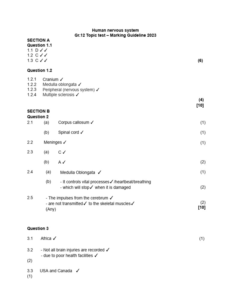 Gr.12 Human Nervous System Test Guide | PDF | Neuroanatomy | Neuroscience