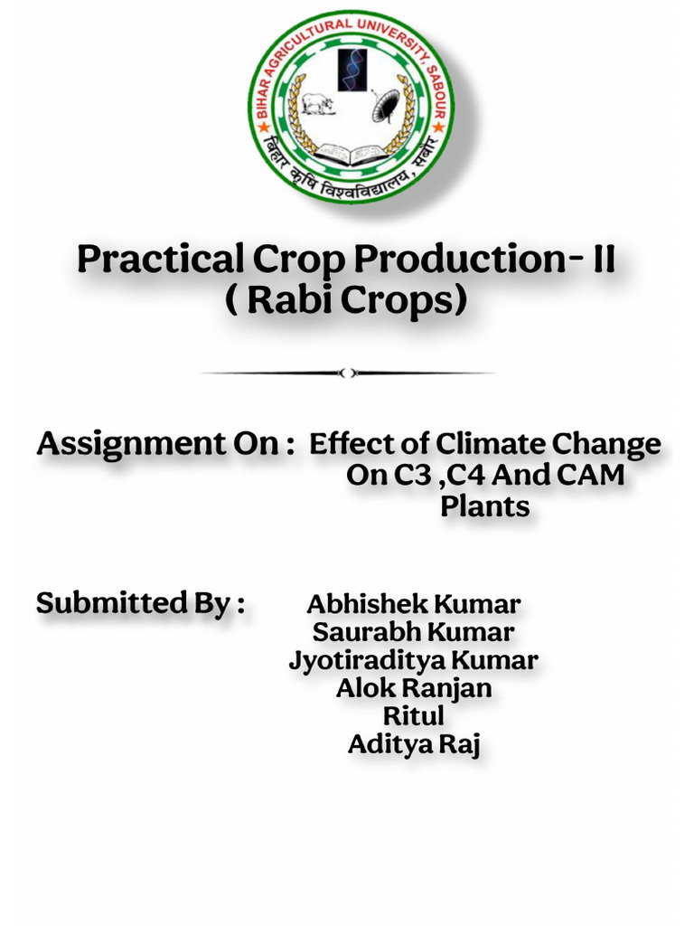 PCP Group 10 | PDF