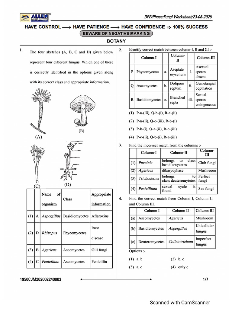 23 06 Fungi Worksheet | PDF