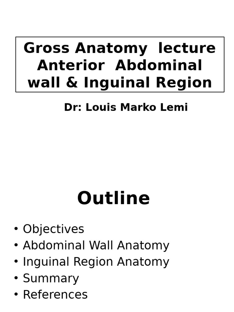 Abdominal Wall & Inguinal Region Anatomy | PDF | Abdomen | Human Anatomy