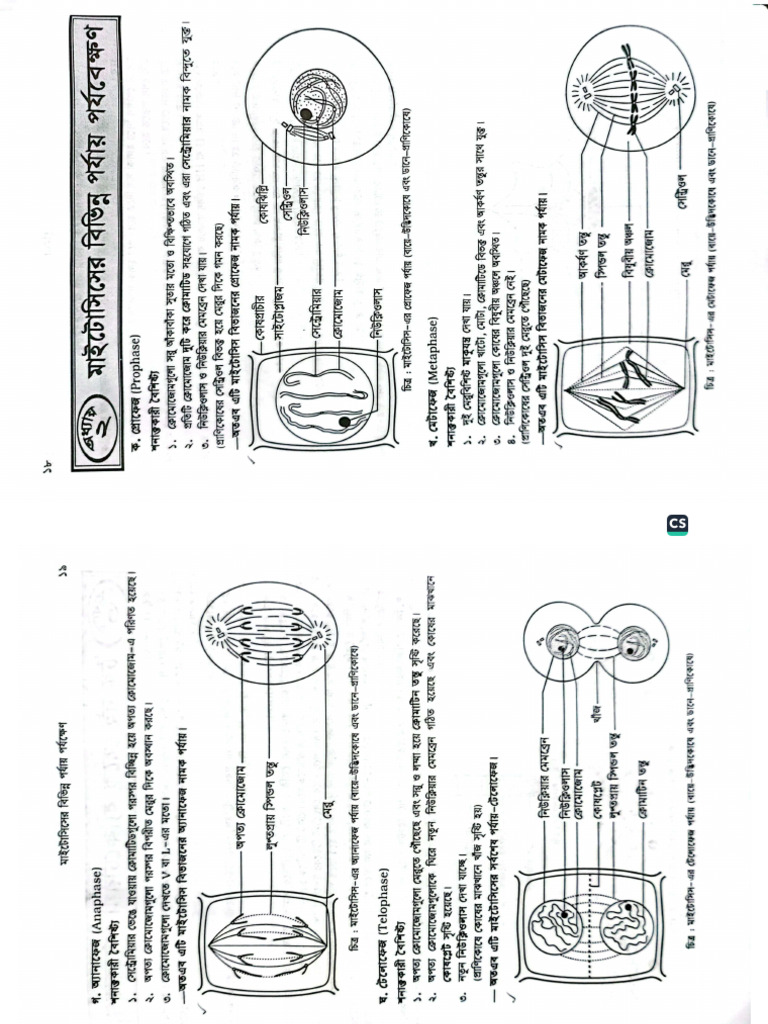 Biology Practical 1st Paper | PDF